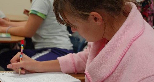 How to Teach Math to a Struggling Student – Denise Gaskins' Let's Play Math