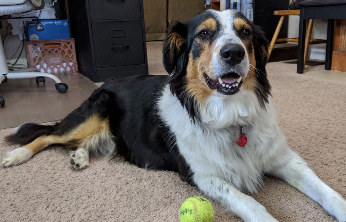 Keeping Busy – Denise Gaskins' Let's Play Math