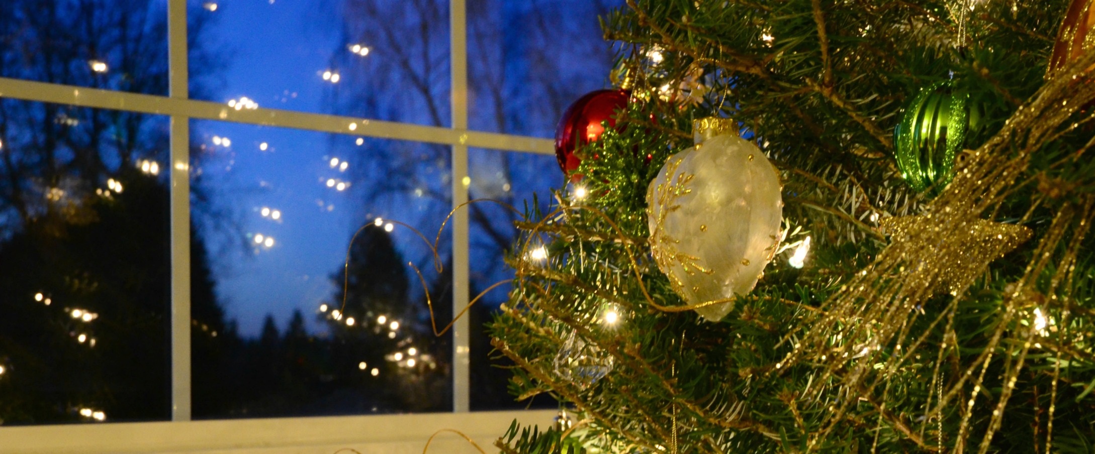 Alexandria Jones and the Magic Christmas Cards – Denise Gaskins' Let's ...